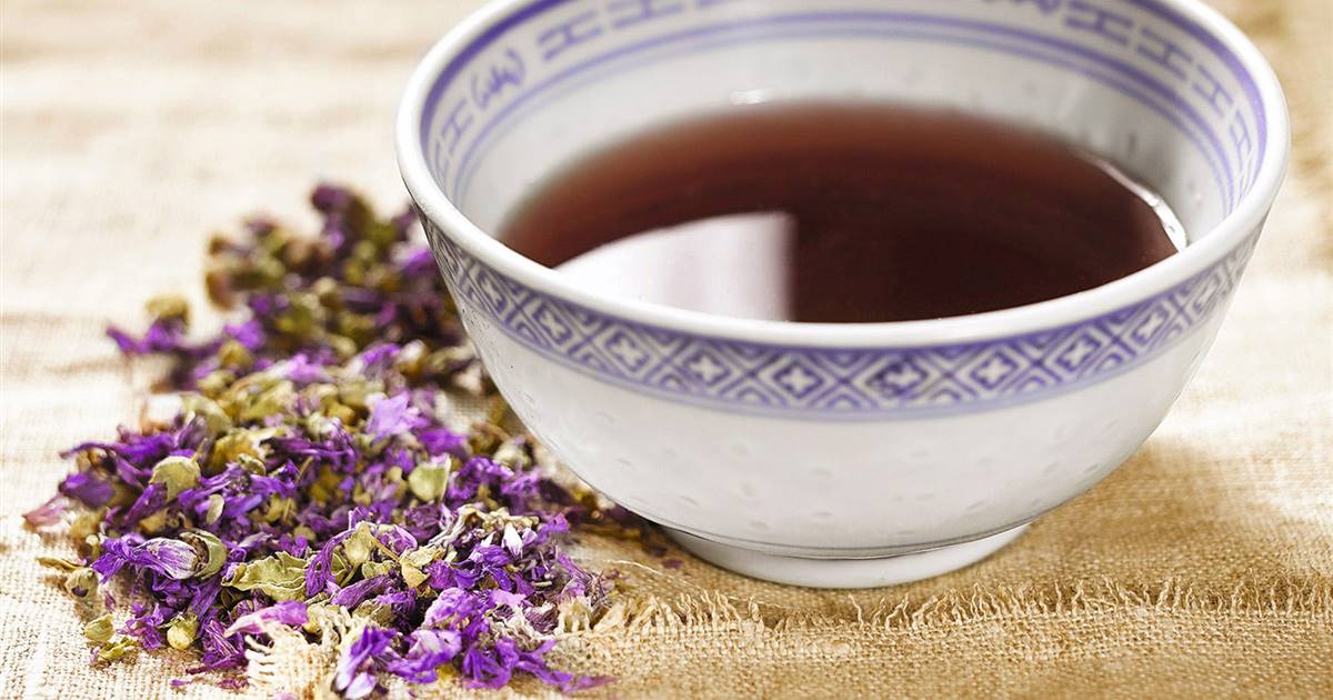 Plantas medicinales para aliviar picaduras de insectos - MasPlantillas