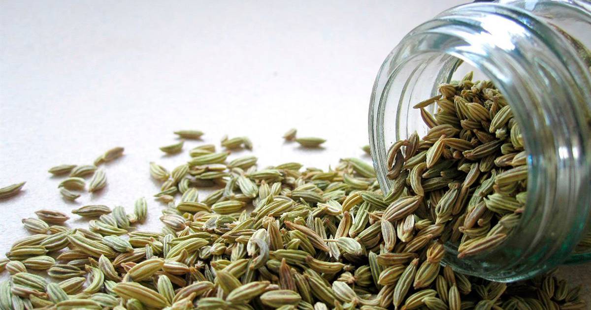 Hinojo: propiedades, beneficios y remedios naturales