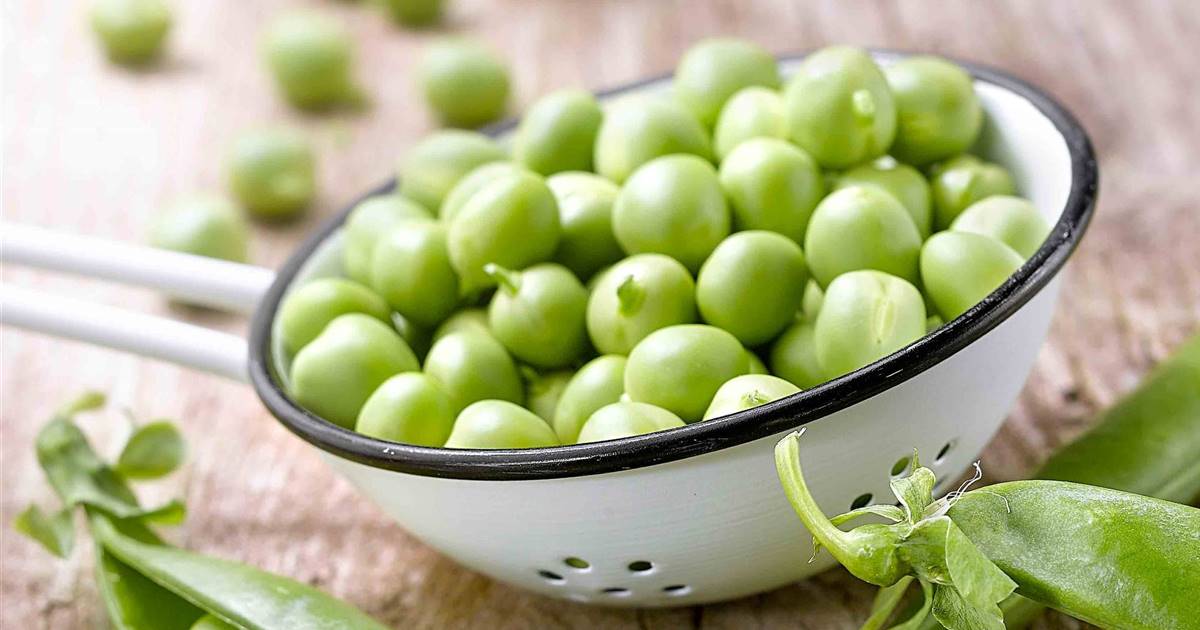 Guisantes: propiedades, beneficios y usos en la cocina