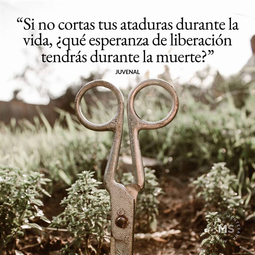 Vivir sin ataduras: 9 frases a favor del desapego