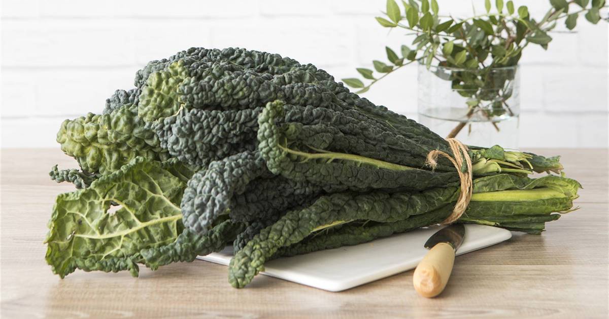 Qué es la kale y cómo comerla: recetas y recomendaciones