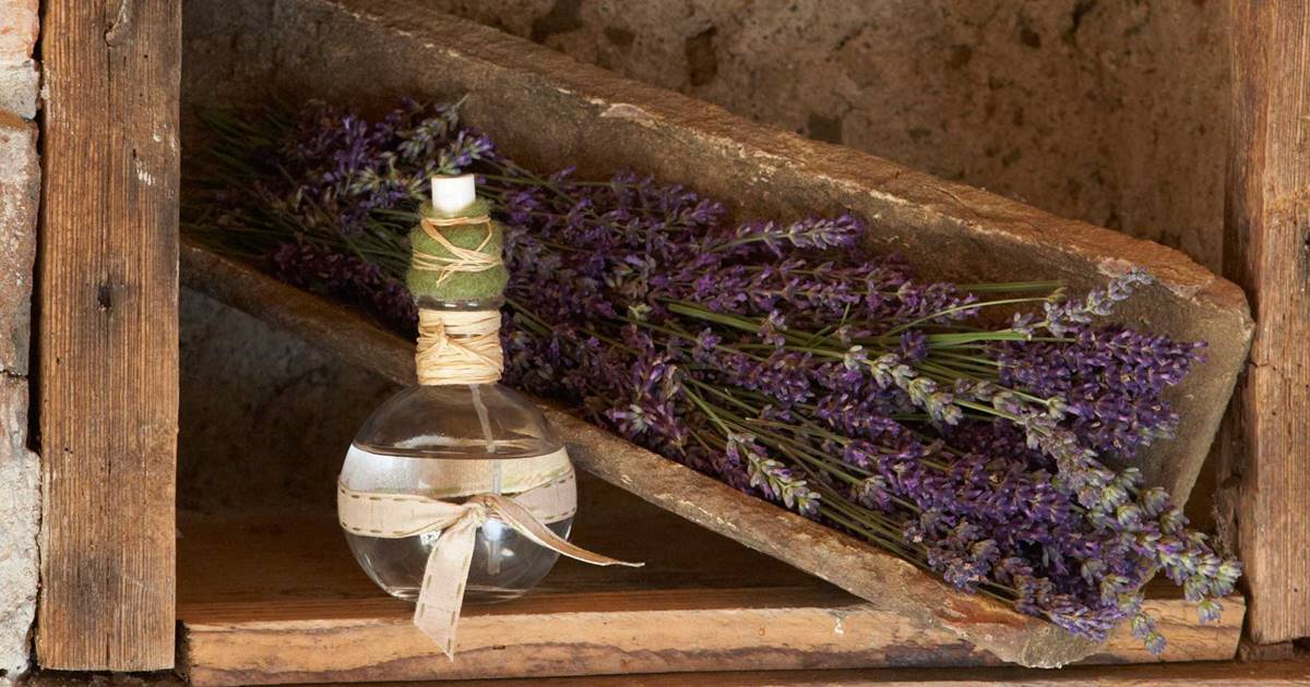 9 usos de la lavanda en casa poco conocidos