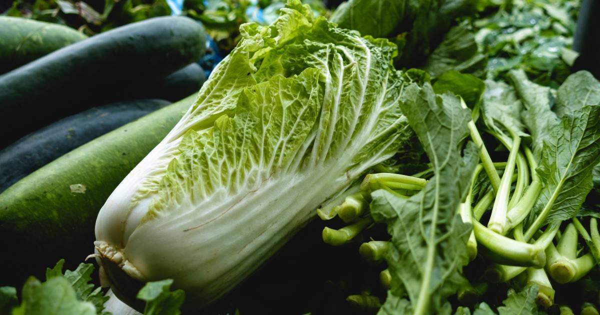 Cómo cocinar col china: recetas y métodos de cocción ideales