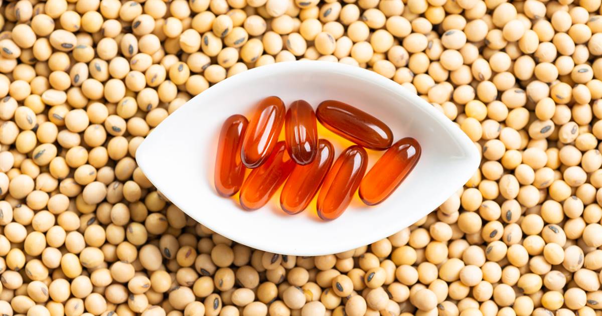 Lecitina de soja: propiedades para combatir el cansancio físico y mental