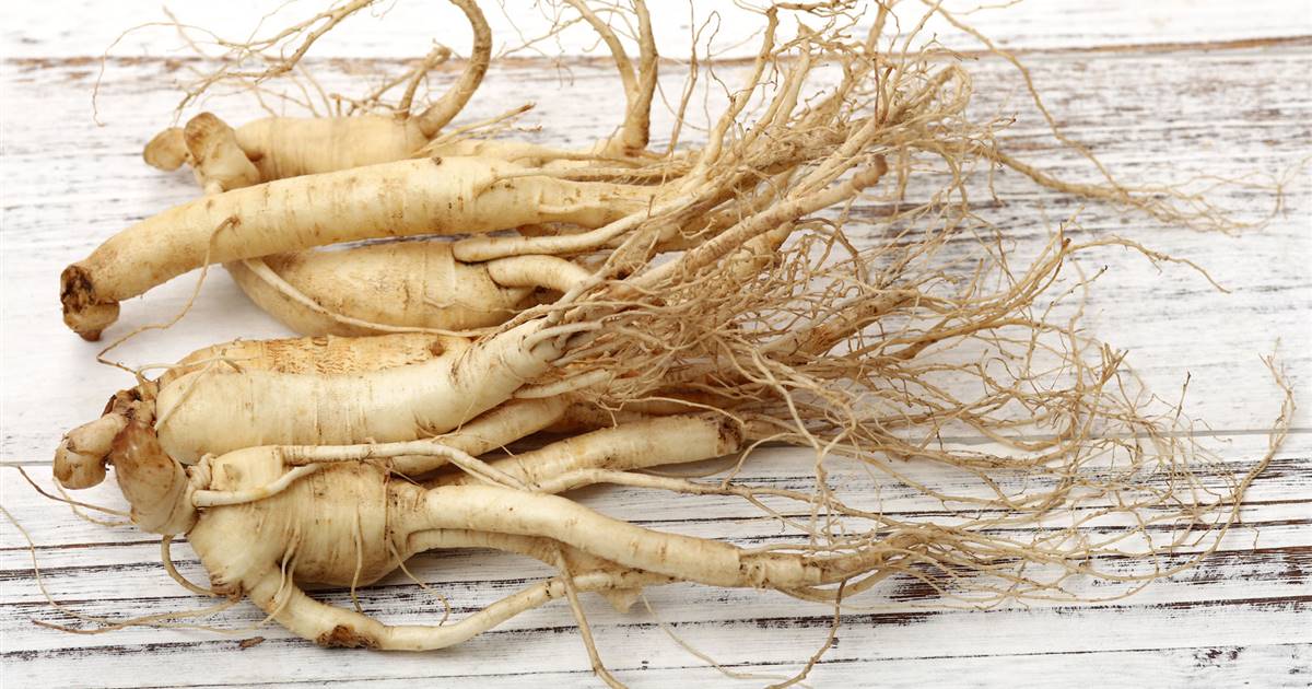 Ginseng rojo o coreano