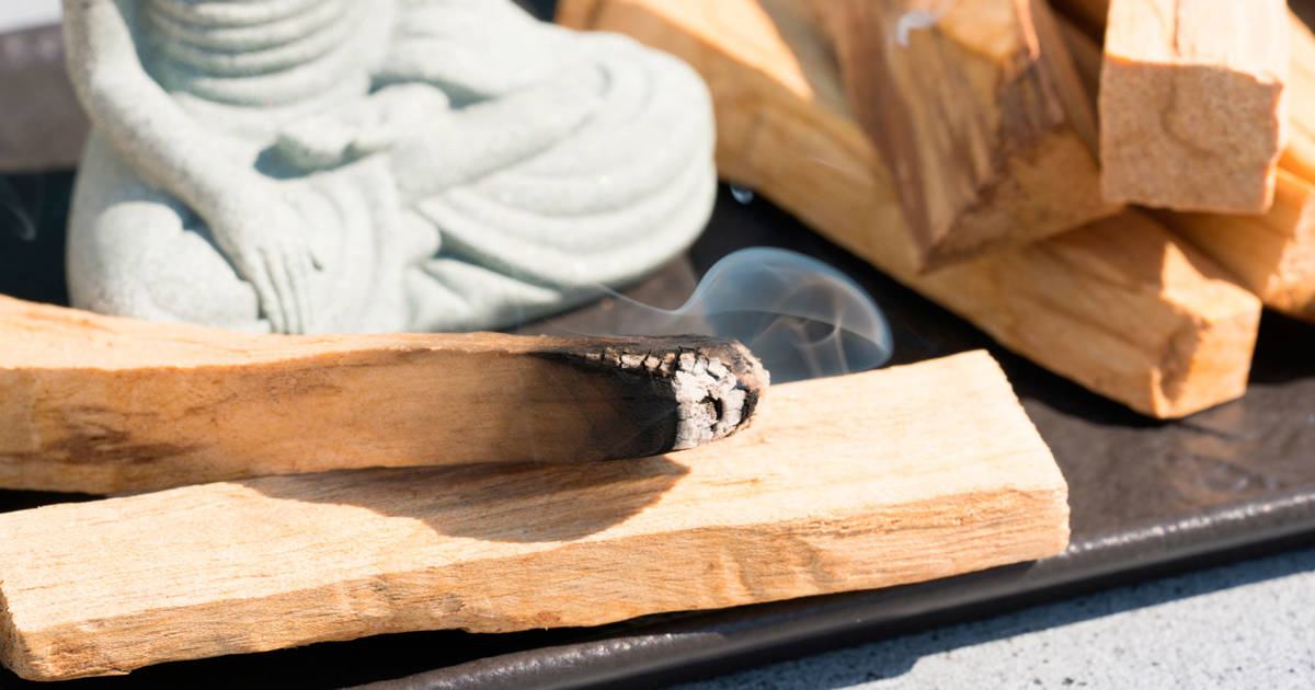 Palo santo: para qué sirve y cómo usar su incienso y aceite esencial