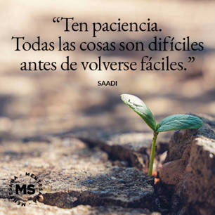23 frases sobre la paciencia para aprender a vivir con más calma y ganar serenidad