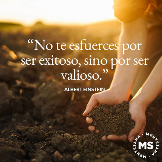 355 frases sobre la vida motivadoras y muy bonitas (para Instagram y Facebook)