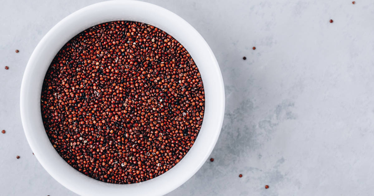 “Muslinoa”, el increíble desayuno con estrella Michelin que toman los ...