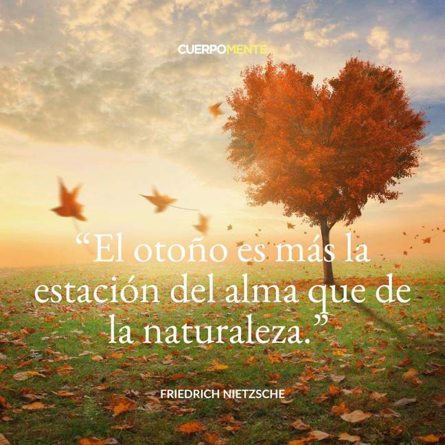 25 frases motivadoras de otoño para encarar con alegría la nueva estación