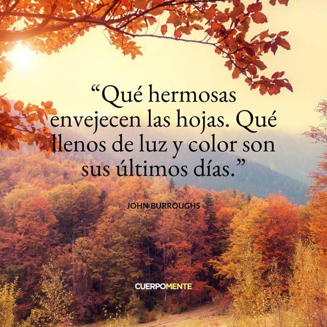 25 frases motivadoras de otoño para encarar con alegría la nueva estación