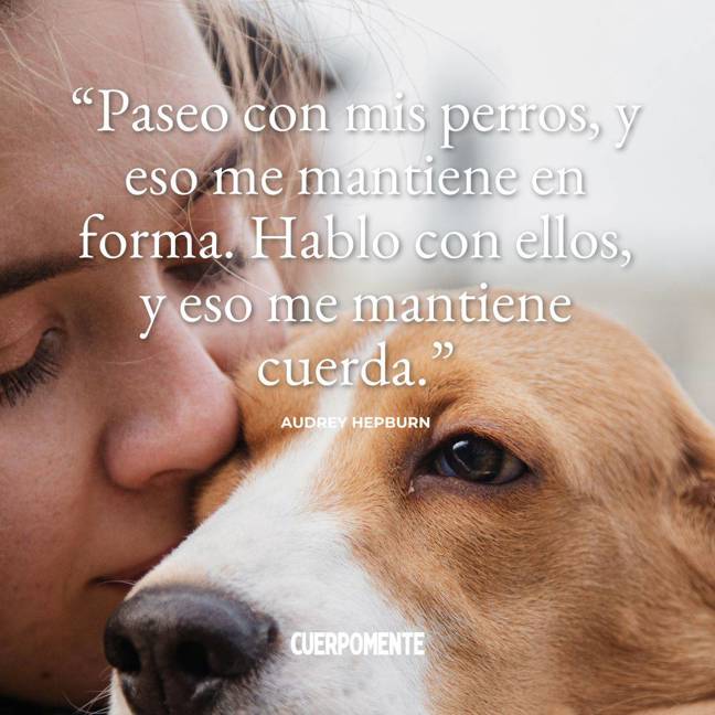 25 frases de perros emotivas para compartir tu amor por ellos