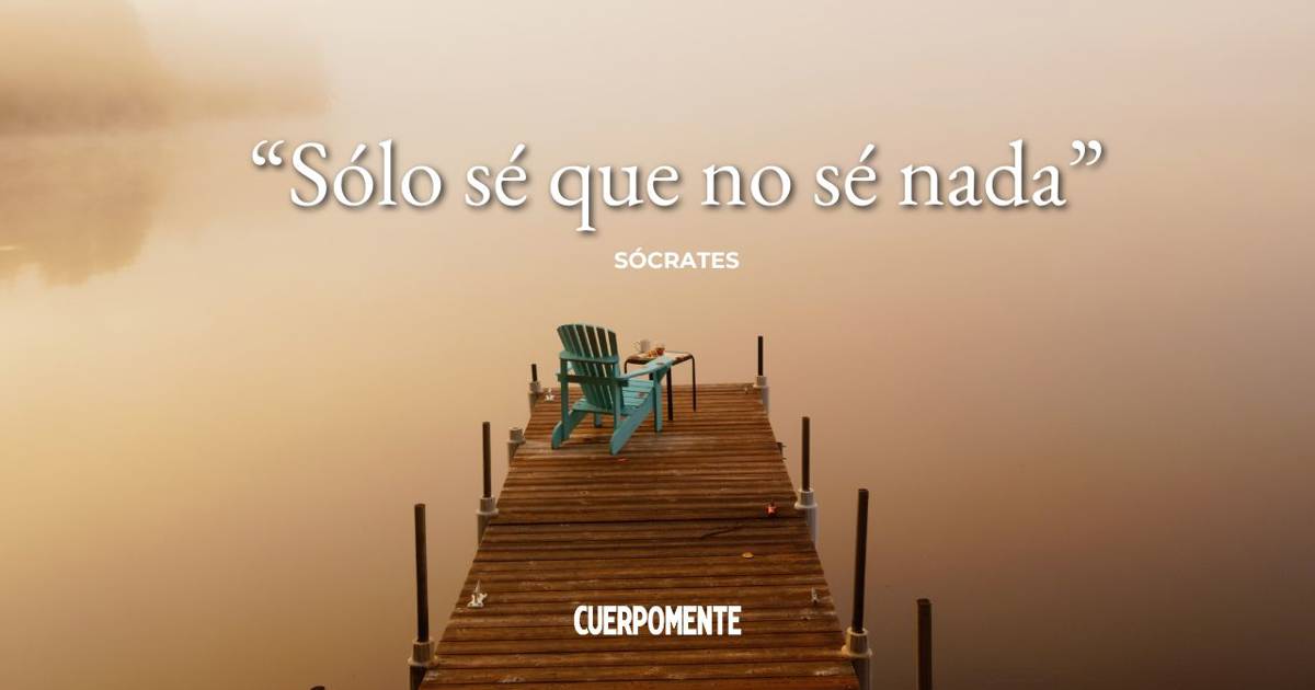 "Solo sé que no sé nada": qué significa y cómo aplicar hoy la frase de ...