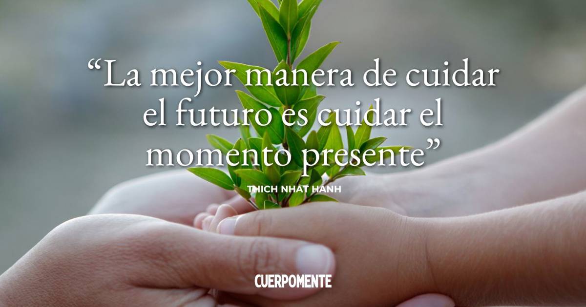 20 frases de Thich Nhat Hanh para una vida más tranquila y feliz
