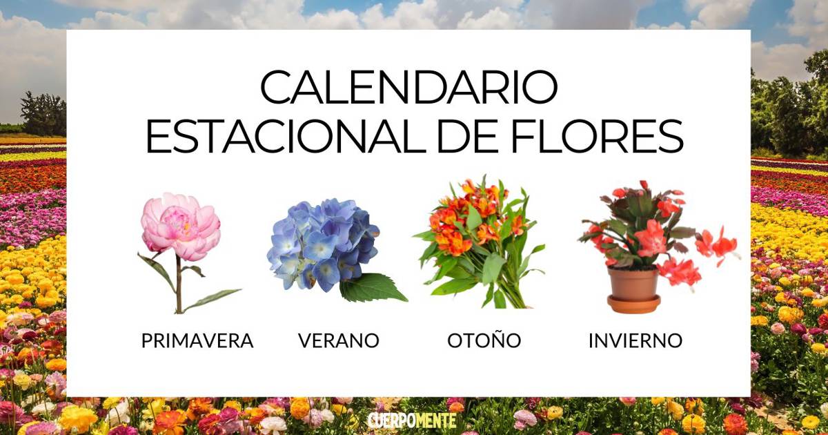 Tipos De Flores De Temporada
