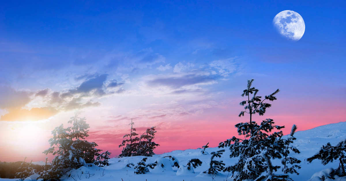 9 pruebas de la influencia de la Luna sobre los seres vivos