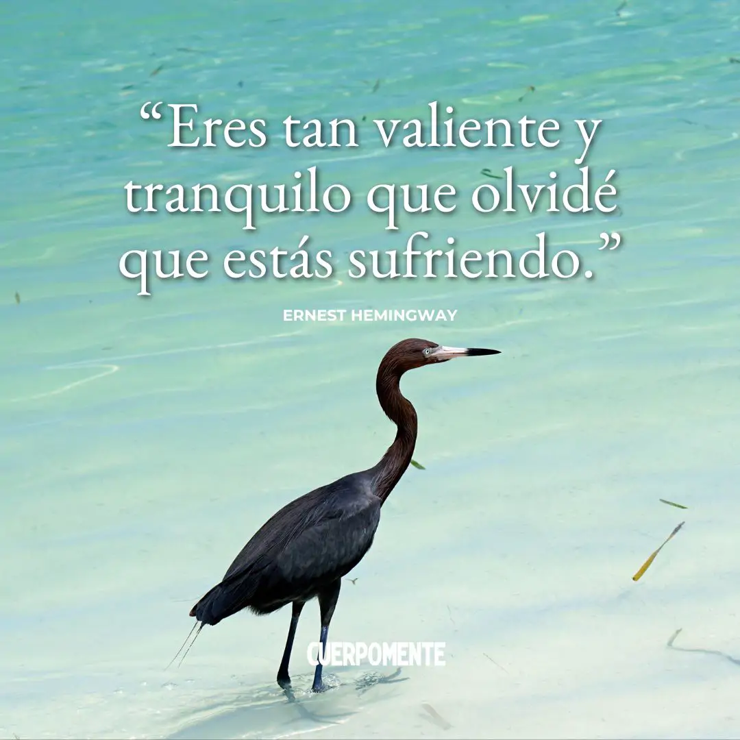 30 frases de Hemingway sobre la vida, el mar y el amor