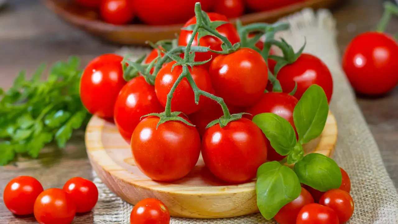 Consejos de alimentación