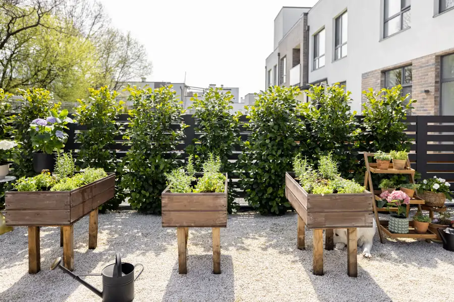 Macetas elevadas y jardines verticales: tus plantas todavía más bonitas ...