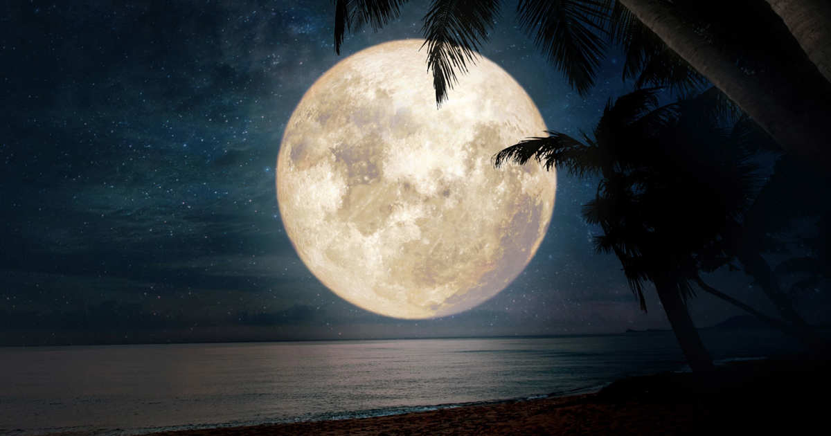 Calendario lunar de agosto 2025: fases de la luna, corte de pelo y ...