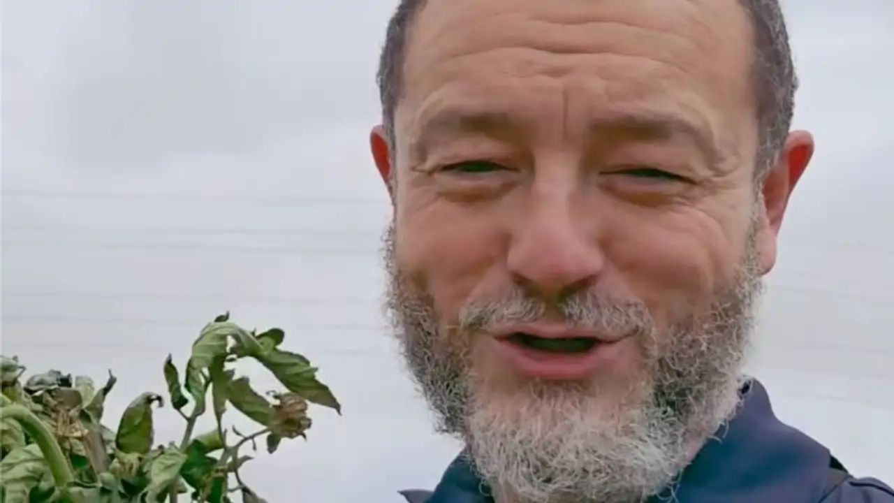 Adiós a los chupones de las tomateras: esta es la mejor manera de quitarlos según un experto