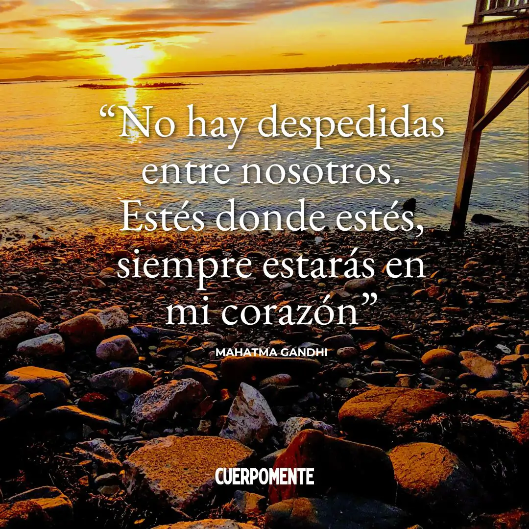 30 frases para recordar a un ser querido cortas y bonitas