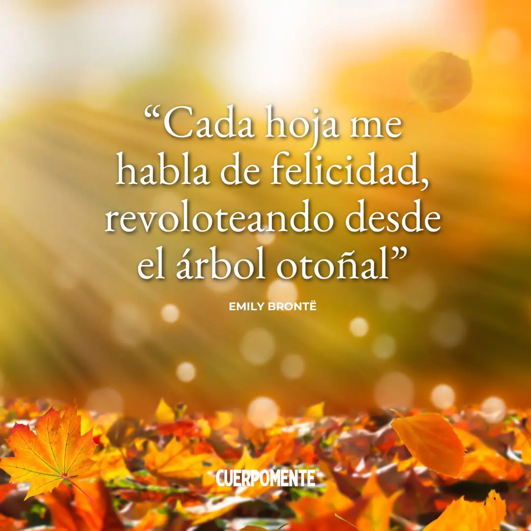 30 frases motivadoras de otoño para encarar la nueva estación con alegría