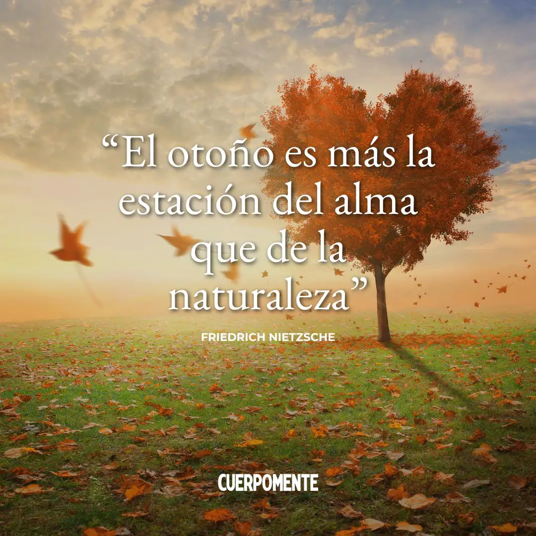 30 frases motivadoras de otoño para encarar la nueva estación con alegría