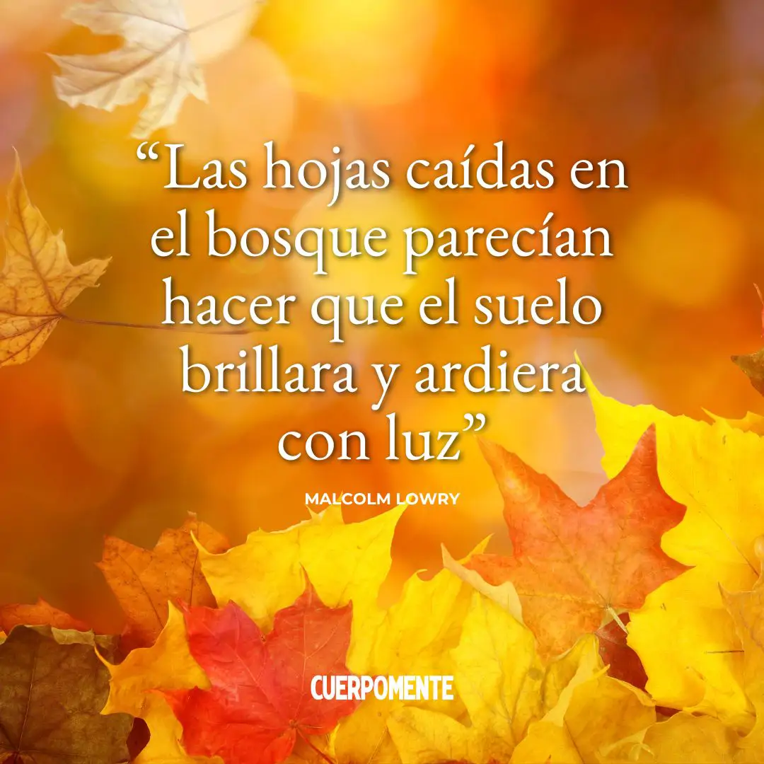 30 frases motivadoras de otoño para encarar la nueva estación con alegría