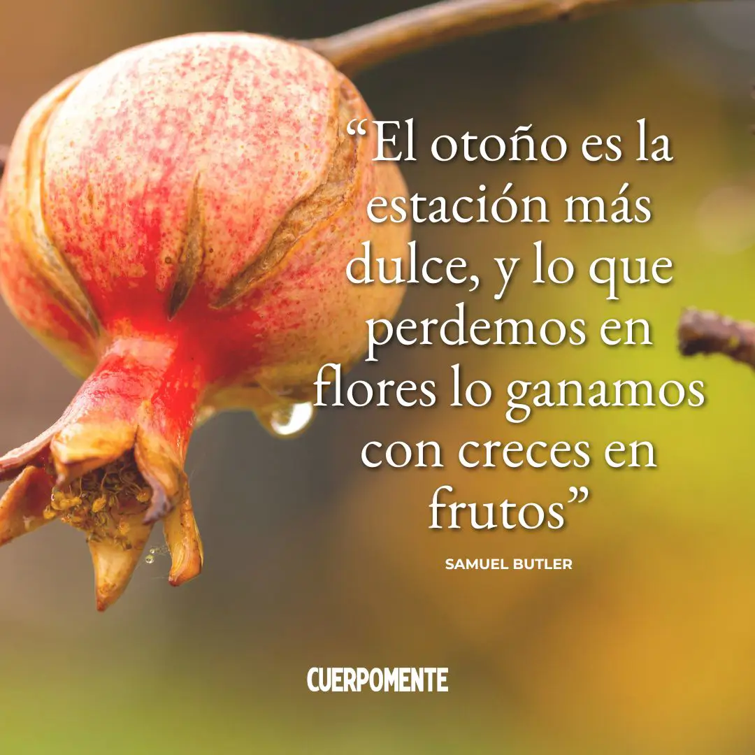 30 frases motivadoras de otoño para encarar la nueva estación con alegría