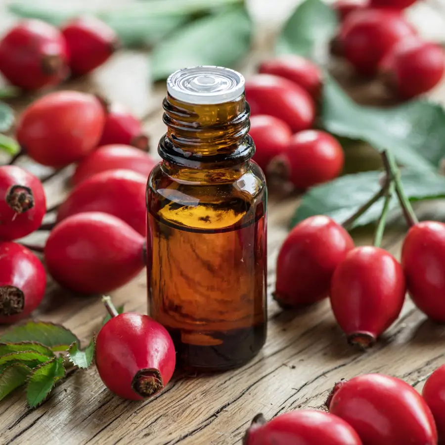 Aceite de rosa mosqueta para la cara: todo lo que tienes que saber para ...