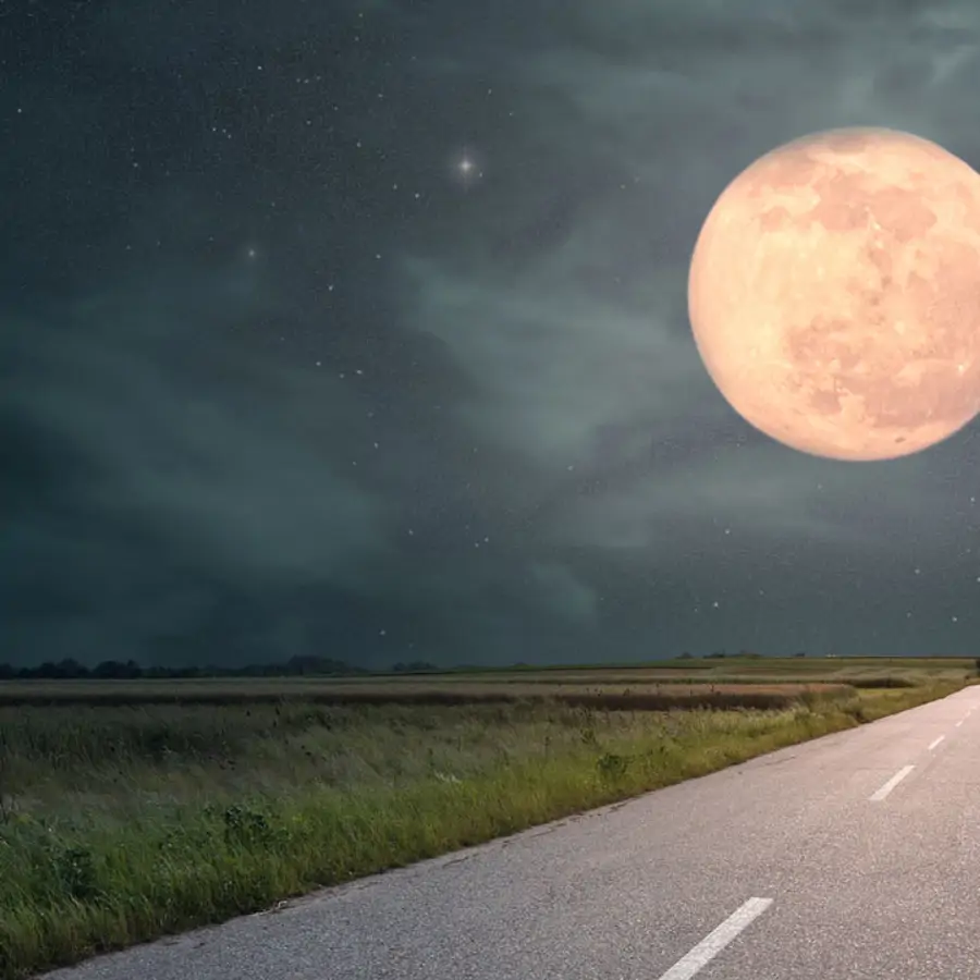 Butirato: qué es, para qué sirve y cómo obtenerlo de los alimentos