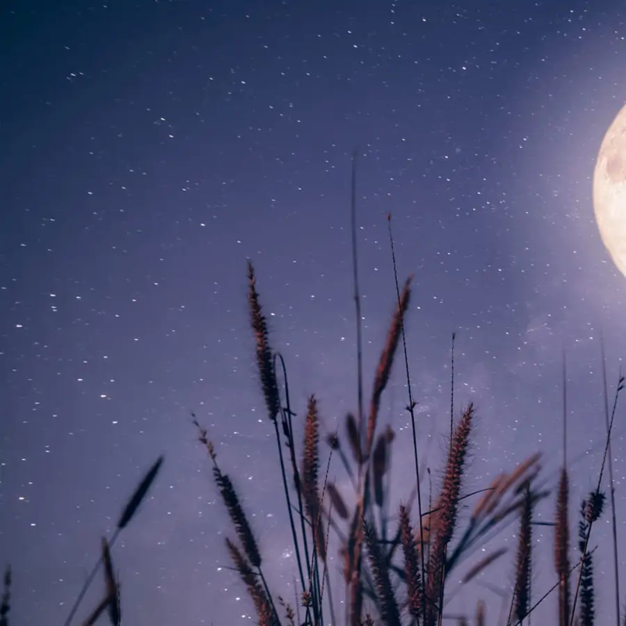 22 poemas de Bécquer que van directos al alma