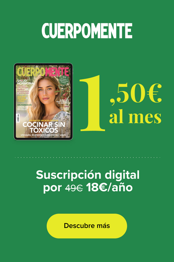 Alcachofera (Cynara scolymus): propiedades medicinales y cómo tomarla