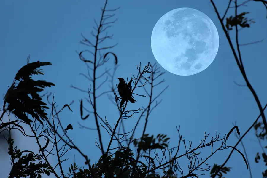 Los colores de la Luna: cuáles son reales y qué significa cada Luna por ...