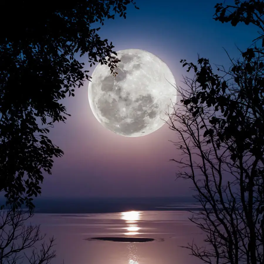 Luna hoy, sábado 22 de noviembre: "Deja que tu fuego interior te guíe y ...