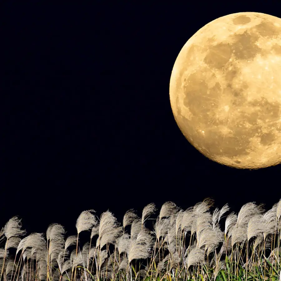Luna hoy, lunes 22 de septiembre: "Empieza el otoño. Crea un ambiente ...