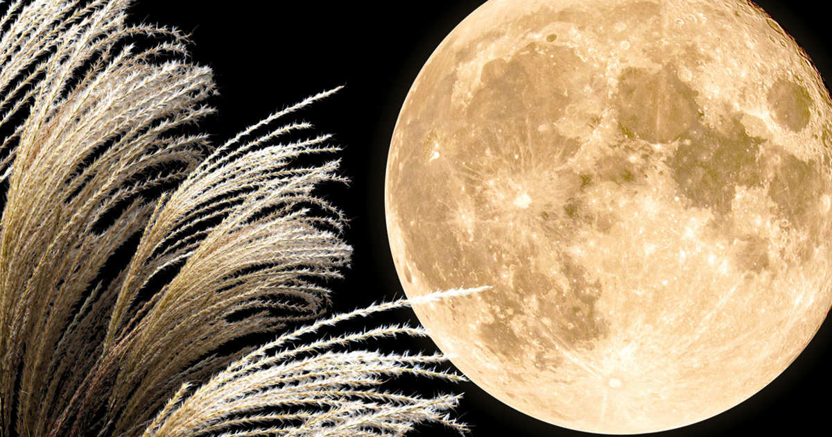 Llega la Luna llena de noviembre 2025, la superluna más grande y con ...