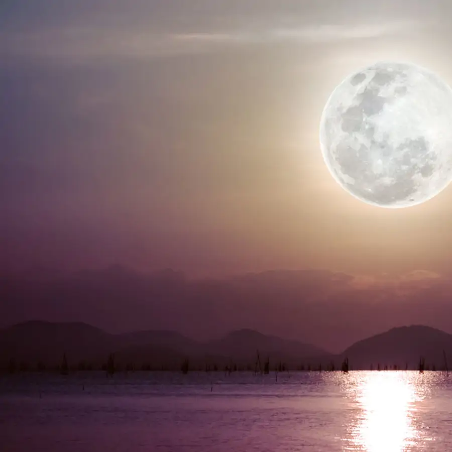 Butirato: qué es, para qué sirve y cómo obtenerlo de los alimentos