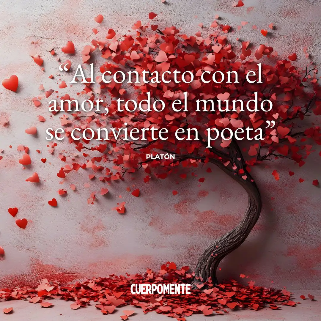 21 frases de Platón llenas de sabiduría que deberías conocer