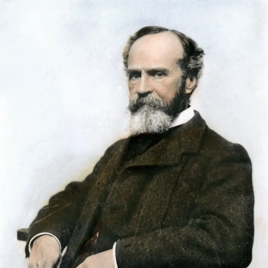 Cómo cuidar la pata de elefante o Beaucarnea recurvata, una planta de ...