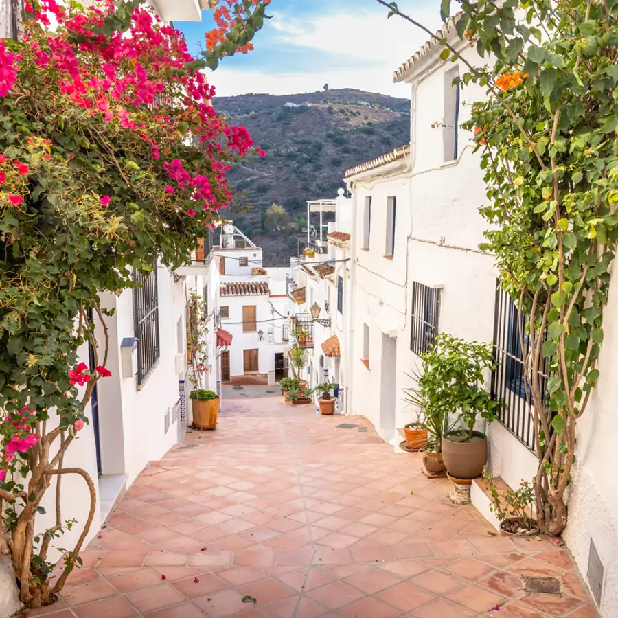 6 rutas de cuento por bosques de colores cerca de Madrid para disfrutar ...