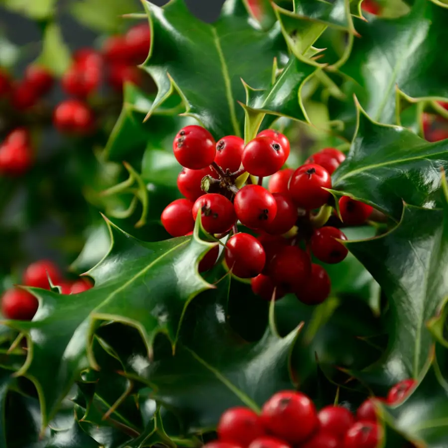 Butirato: qué es, para qué sirve y cómo obtenerlo de los alimentos