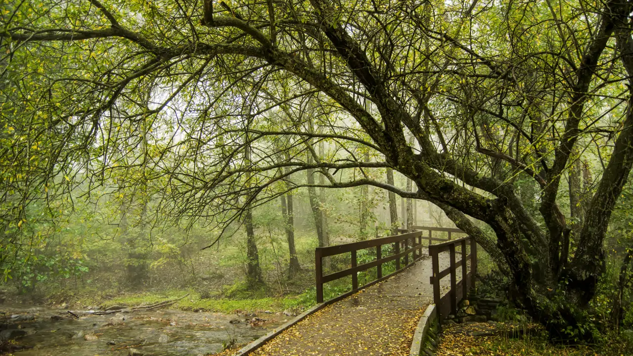 El espectacular parque natural de montañas amables y bosques infinitos ...