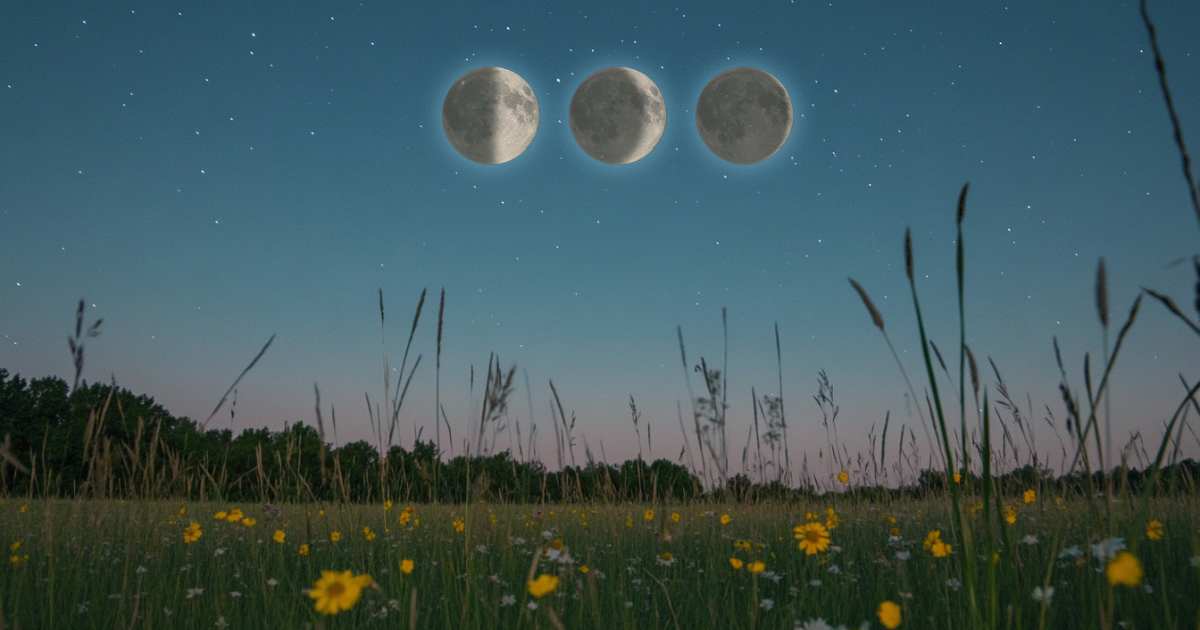 Luna hoy, miércoles 21 de enero: "Ordena las zonas comunes, quita el ...