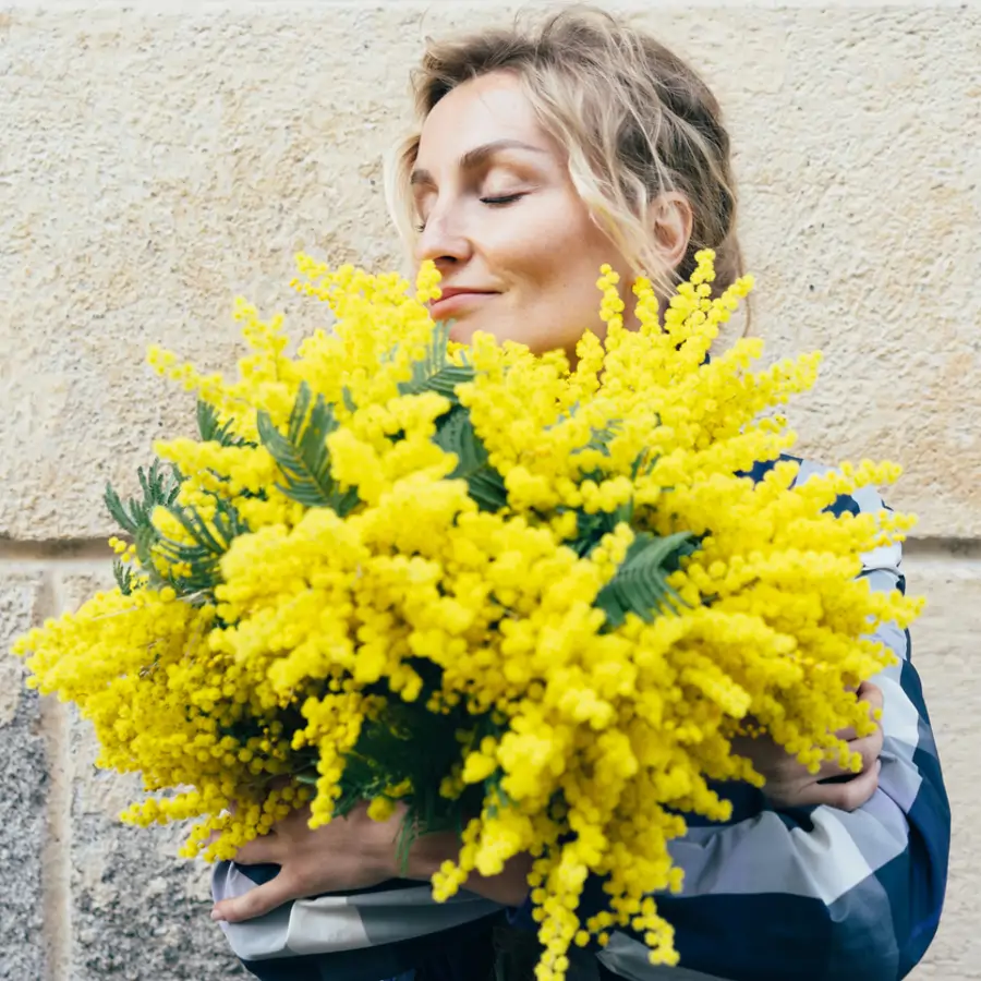 Cómo cuidar las azaleas para que estallen en flores y alegren tu casa ...