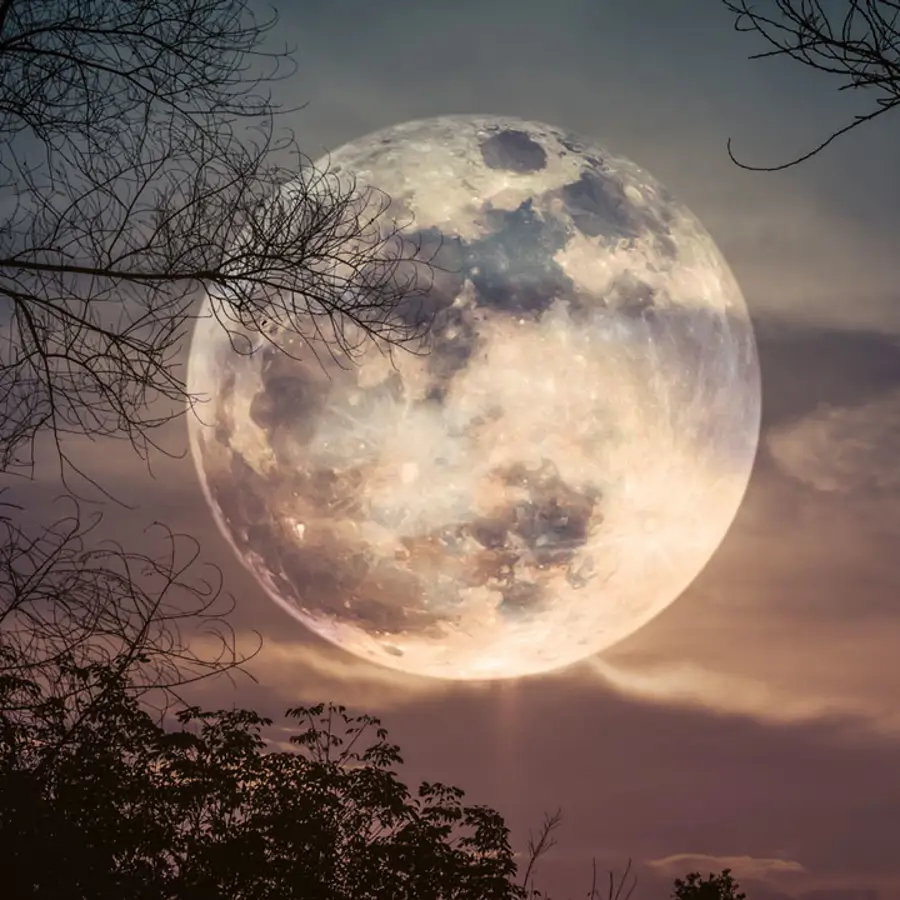 Luna hoy, viernes 6 de febrero: "Ordena los espacios comunes, haz la ...