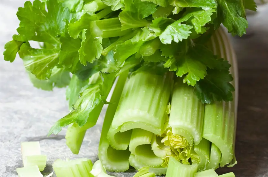 Cómo cultivar apio en casa: siembra y cuidados básicos para que crezca sano