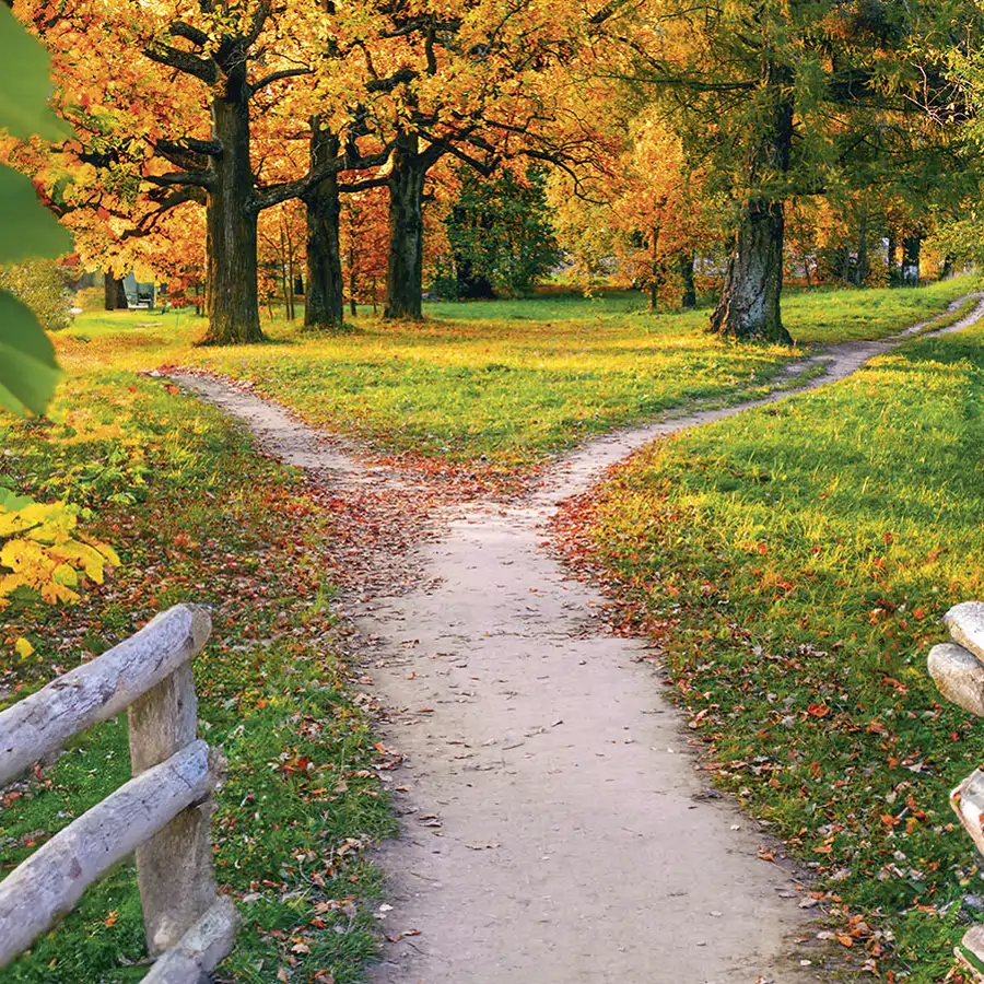 12 poemas de otoño: los versos inolvidables de poetas célebres para ...