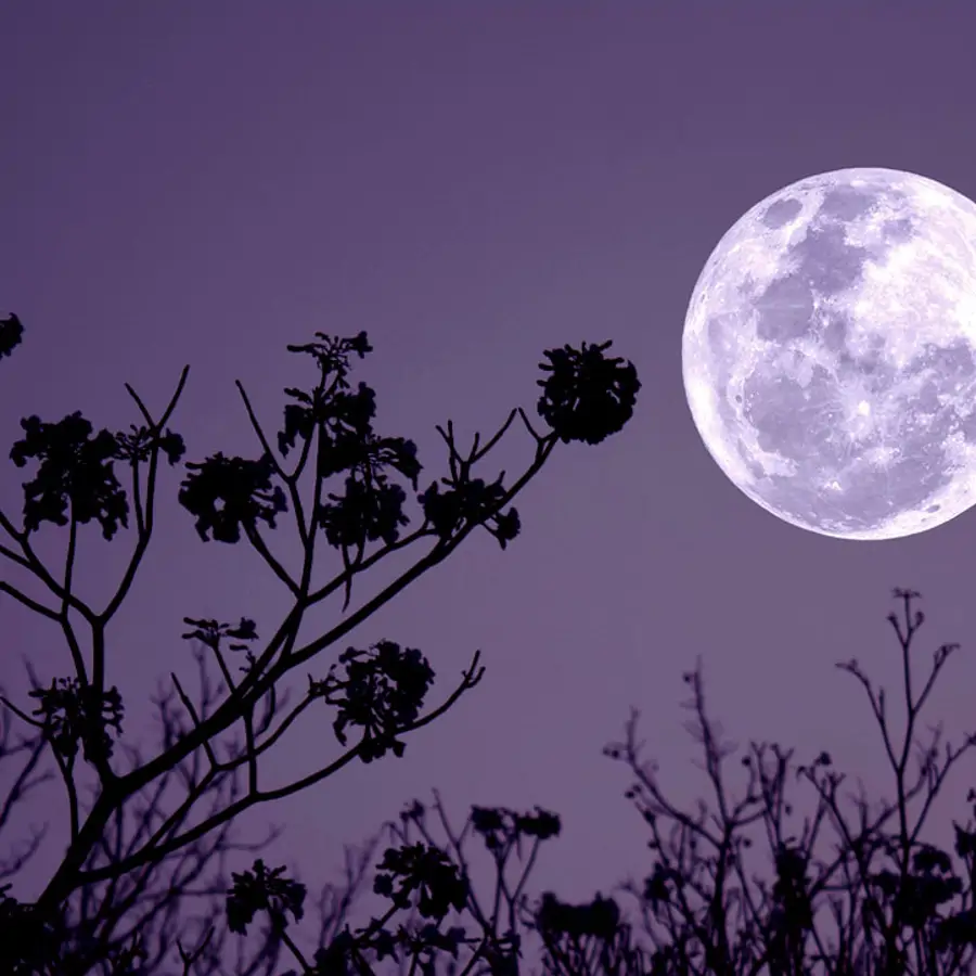 Haruki Murakami (77 años), escritor: "La mayor parte de lo que sé sobre ...